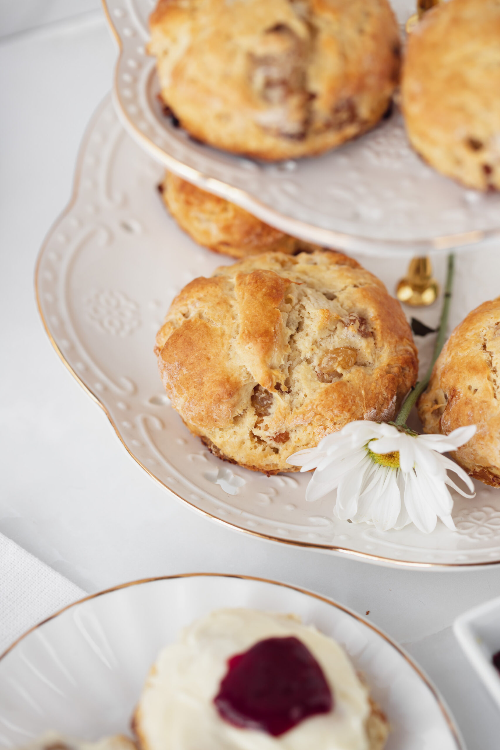 Maple Raisin Scones - French Vanilla